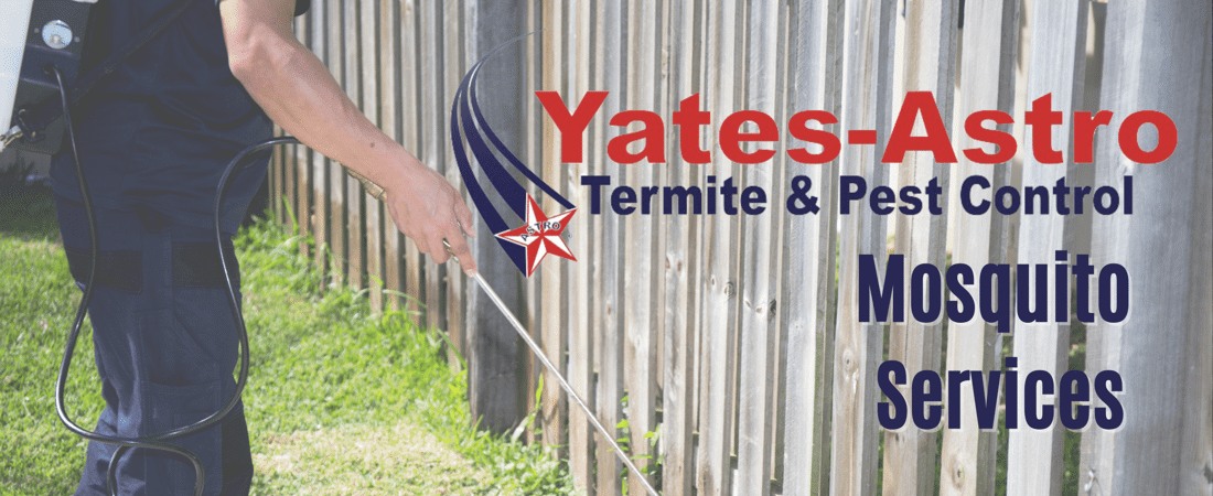 February 2023 Blogs | Yates-Astro Termite & Pest Control